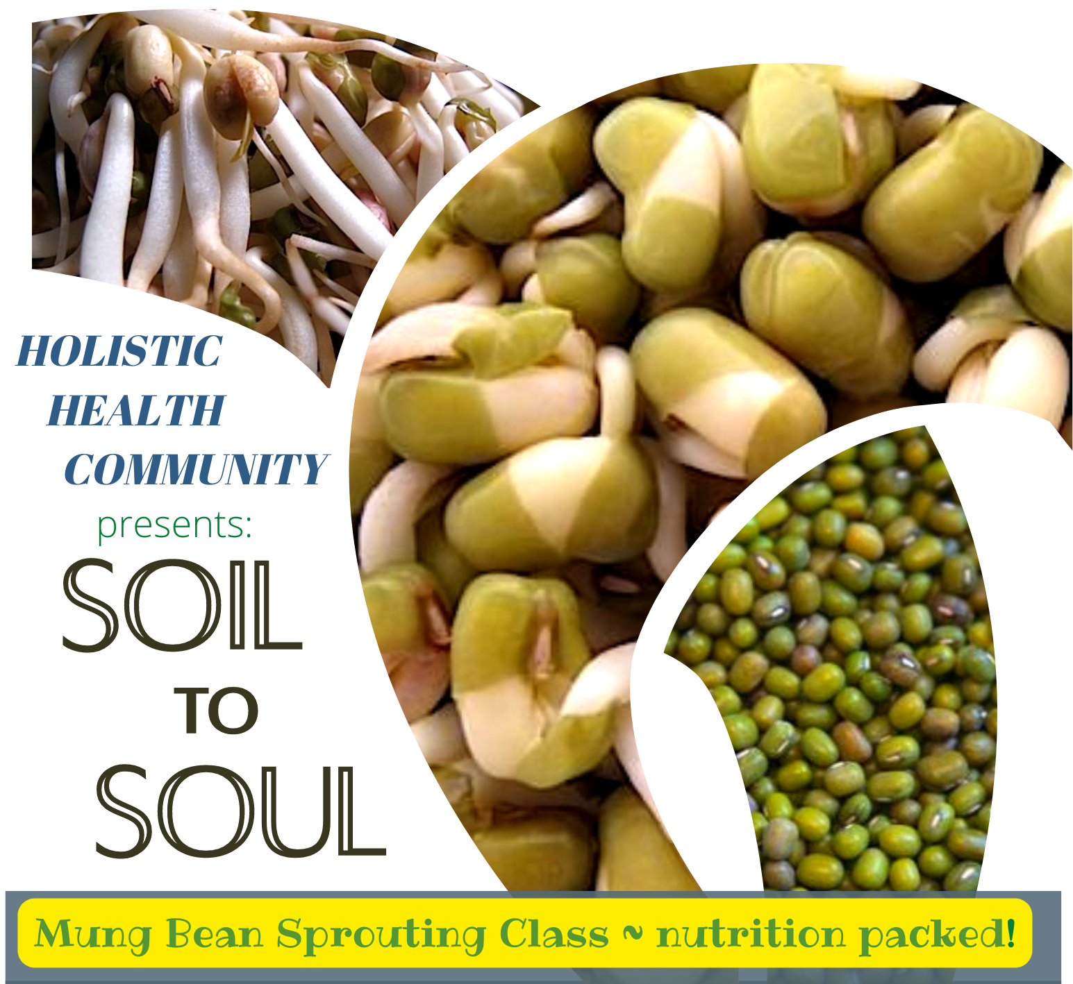SOIL TO SOUL: Sprouting Mung Beans with Diana Seiler — Holistic Health ...
